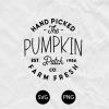 Pumpkin Patch Co - Kayla Makes