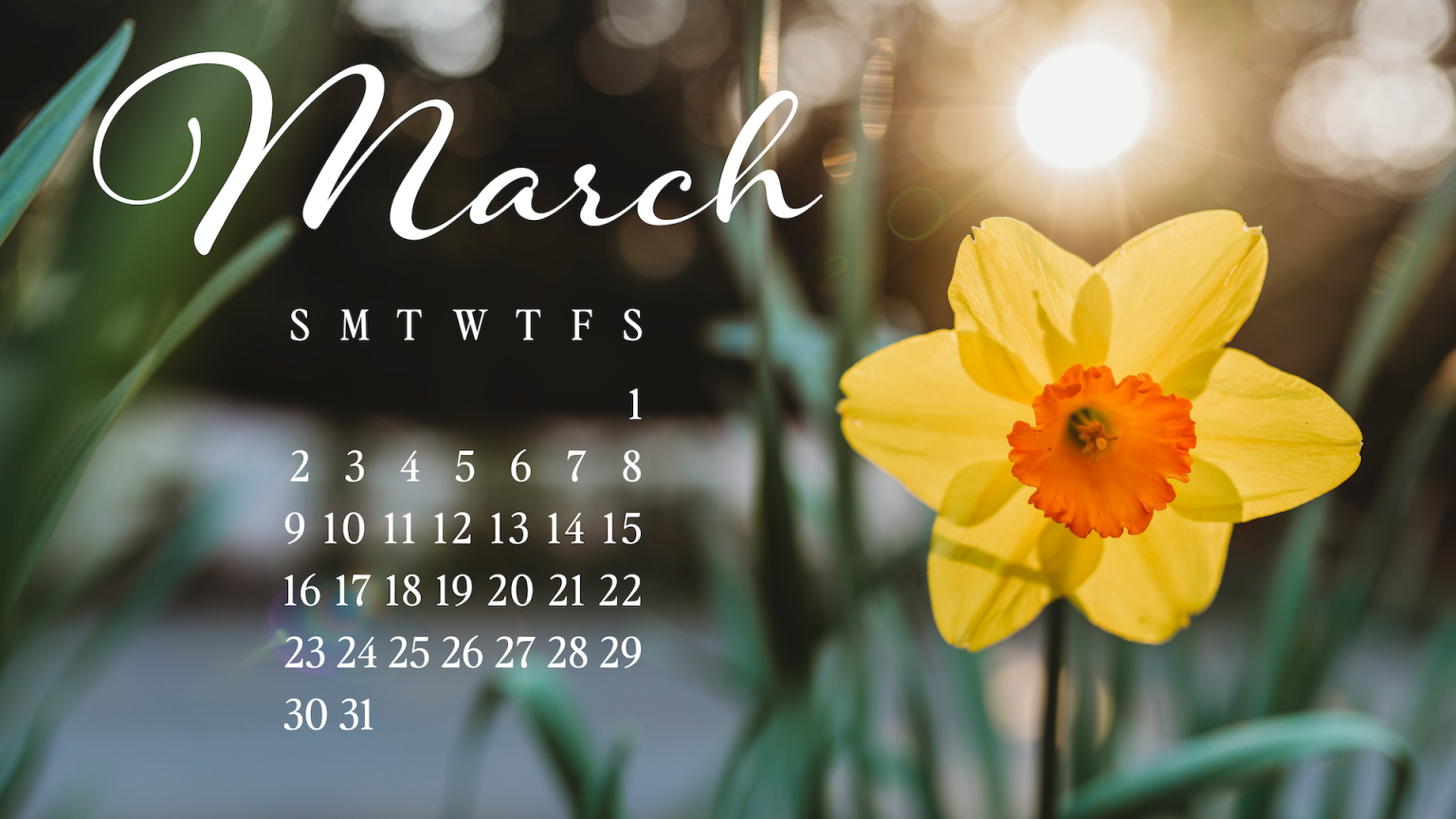 March Tech Backgrounds: Free Spring Inspired Wallpapers - Kayla Makes